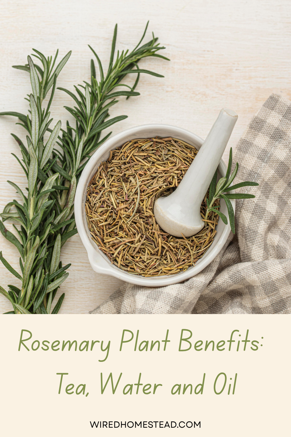 Medicinal Properties of Rosemary - Food for the Brain (and More!) - Wired Homestead