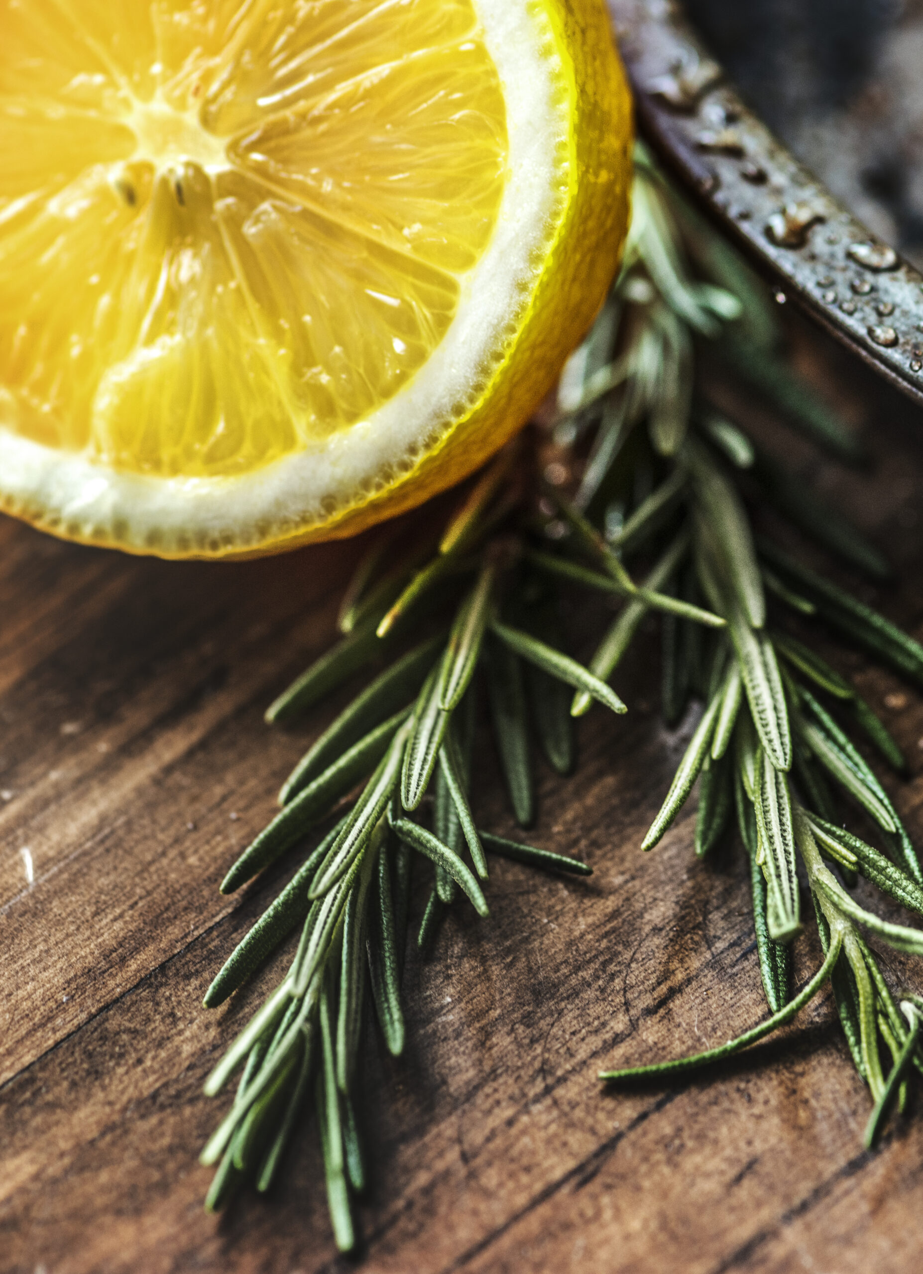 Medicinal Properties of Rosemary - Food for the Brain (and More!) - Wired Homestead