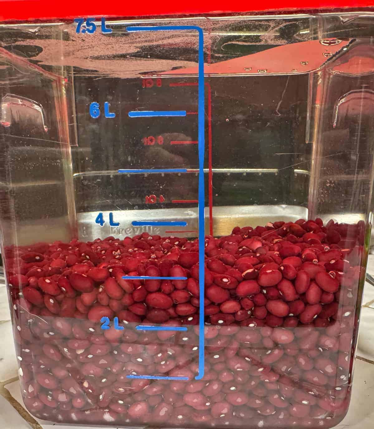 How to Can Chili Beans: Perfect Every Time